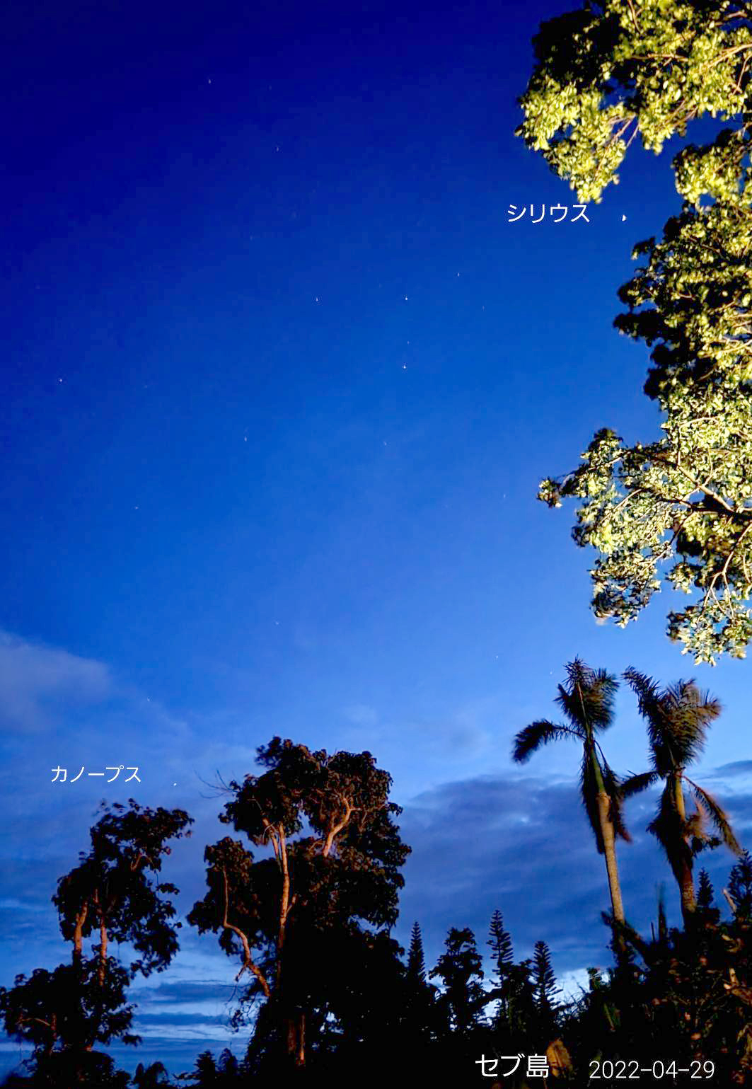 Canopus and Sirius│旅する天文メディア ( Astronomical media) | 株式会社トゥービーマル (To Be ...